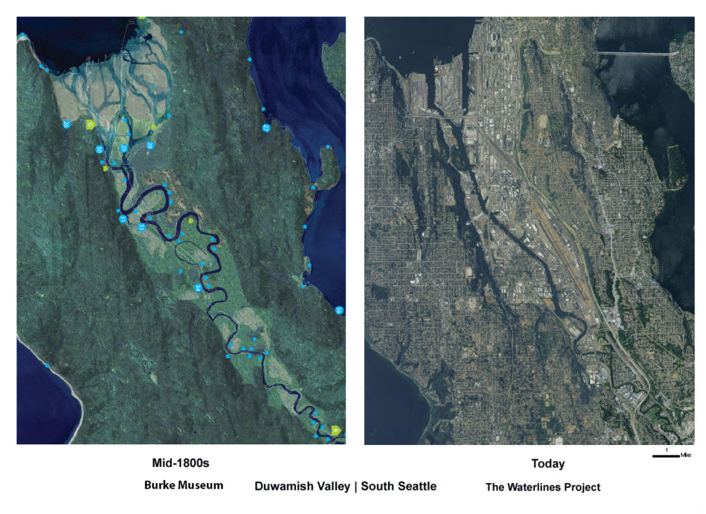 LIVING SHORELINES – Reviving Seattle's waterways